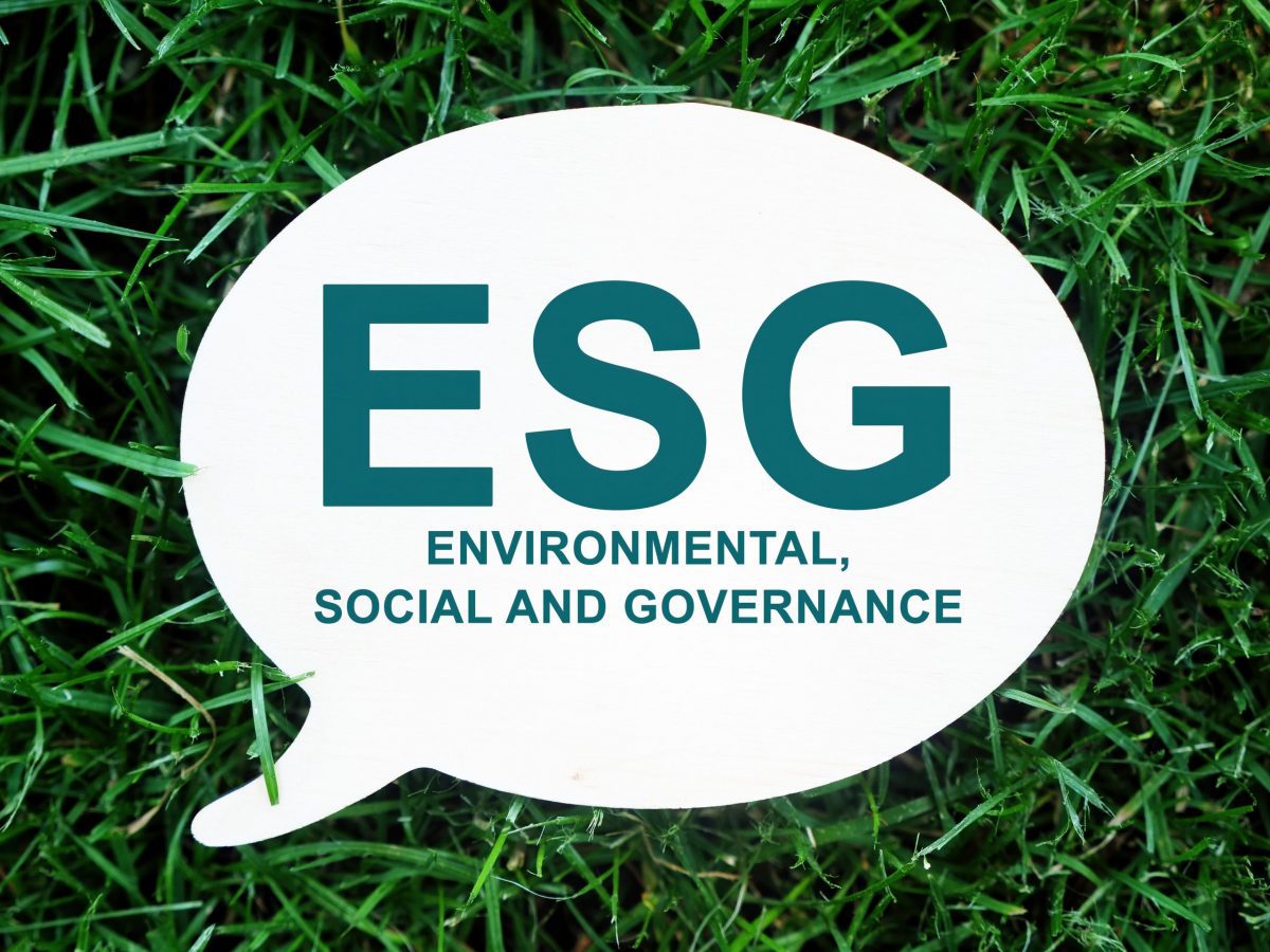 A beginner’s guide to ESG - Capital Partners