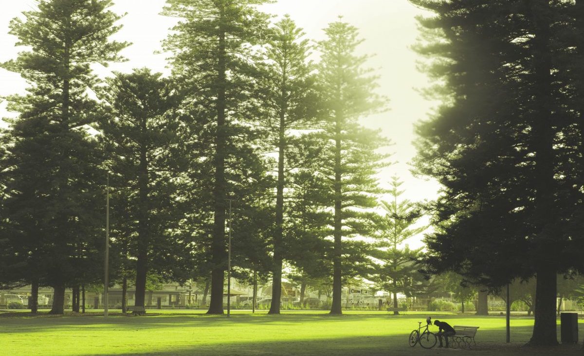 Understanding share market resilience - Capital Partners