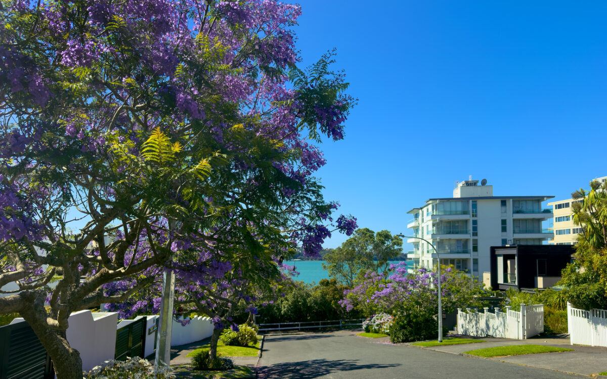 Independent Wealth Advisers Perth - Capital Partners